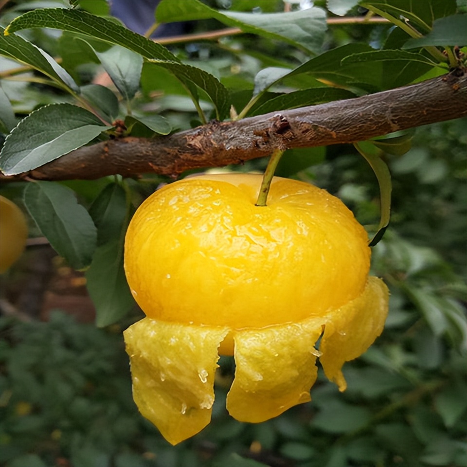 Traveling through the Song and Ming Dynasties: Chapter 2 of 33 on ...