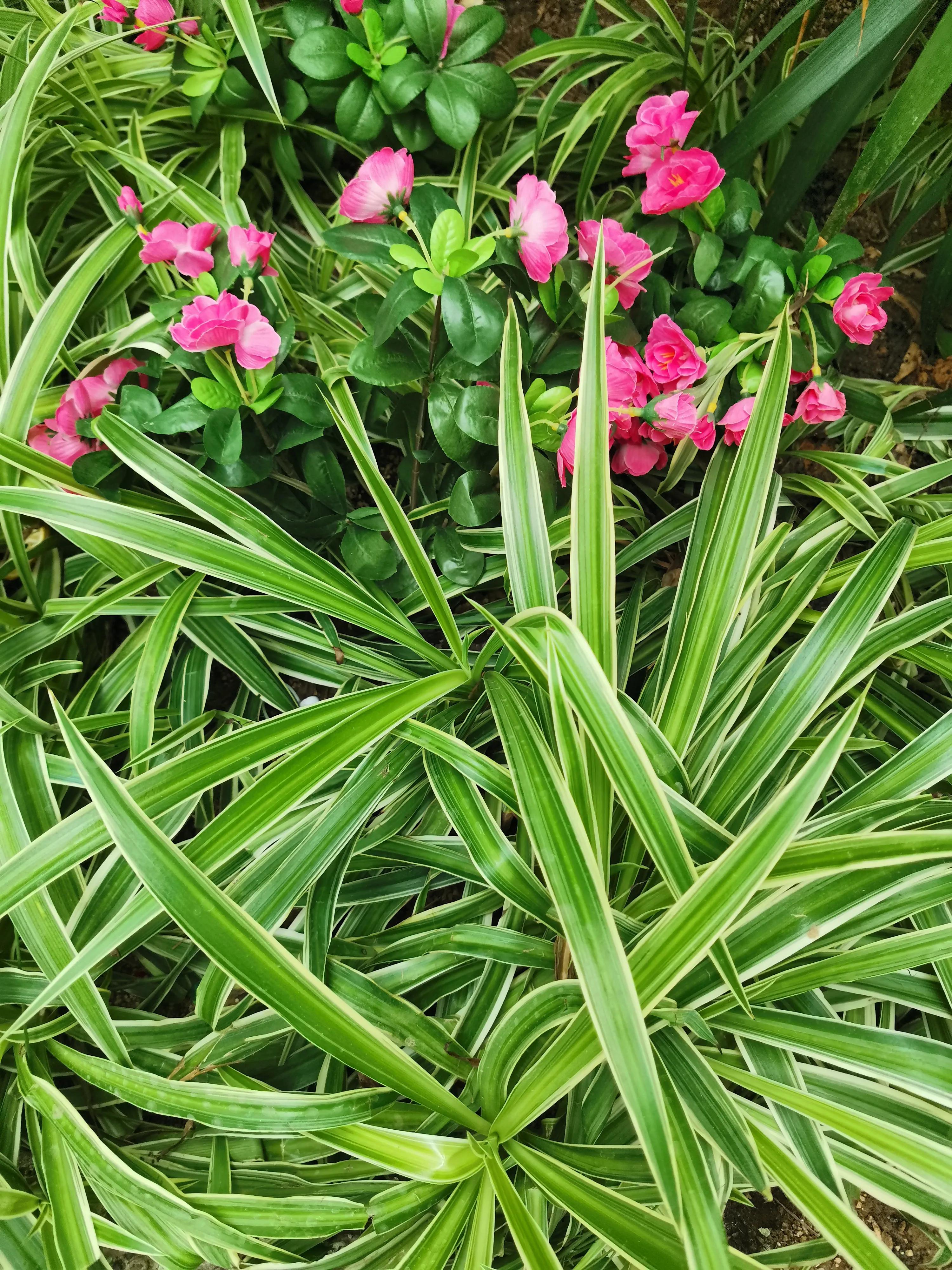 The invention and inheritance of Ziping technique - iNEWS