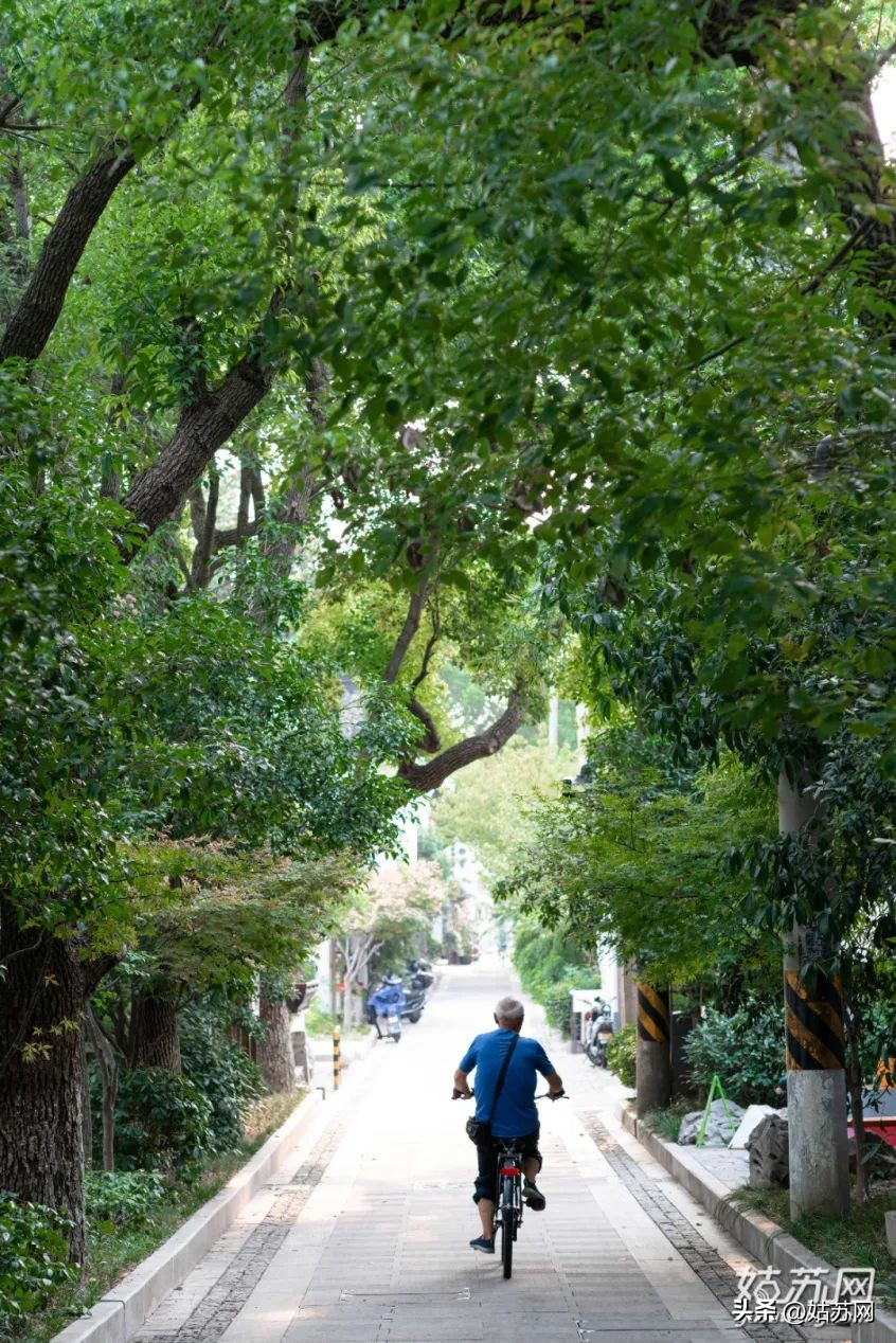 This alley of more than 400 meters in Suzhou hides the original flavor ...