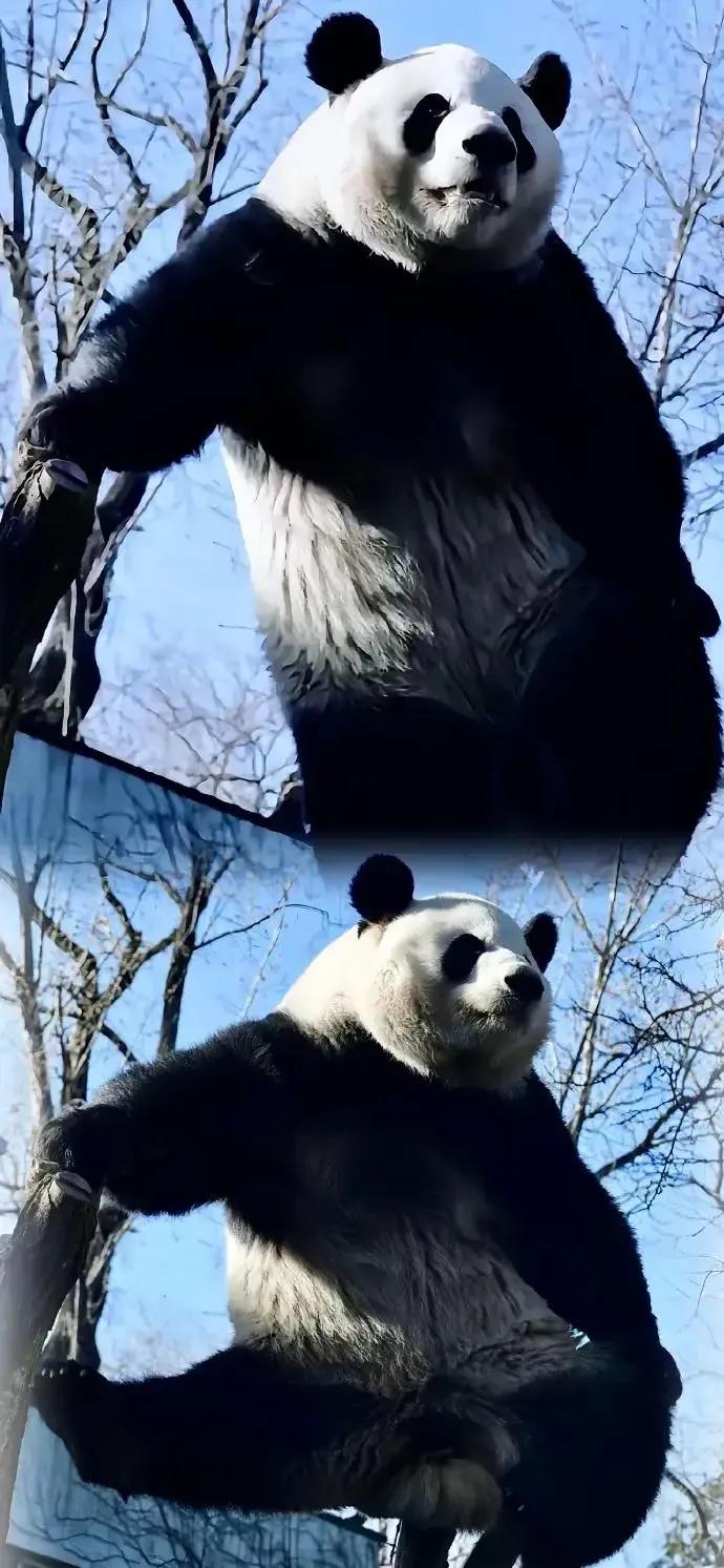 The third prince of Xizhimen, cute and handsome - iMedia