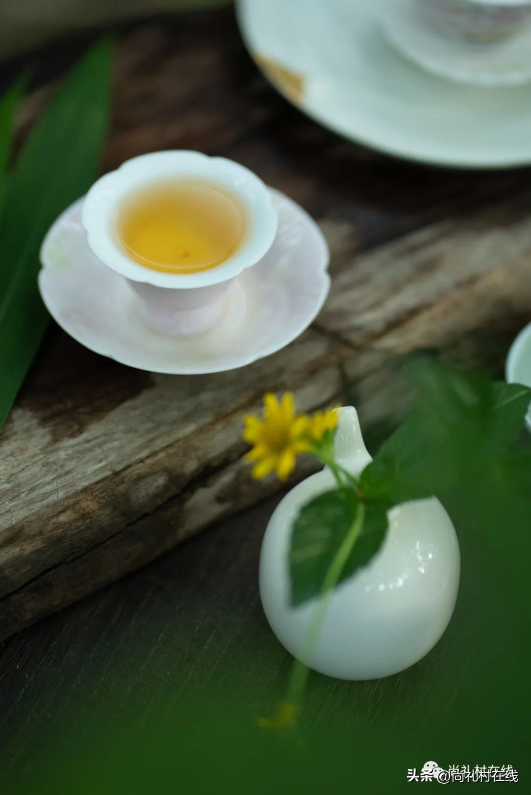 Thirty-Six Mountains - iNEWS