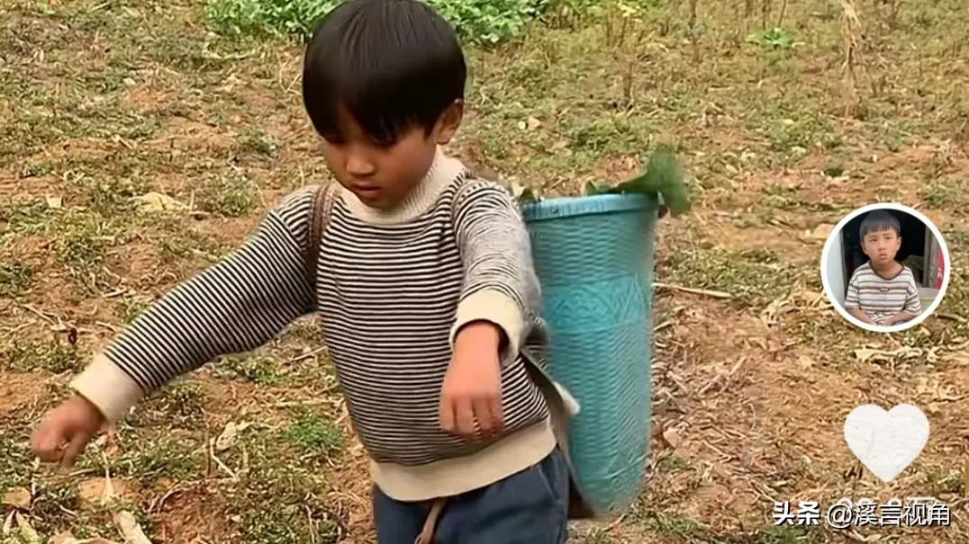 Wang Xixi, the most sensible child on the Internet, cried - iMedia