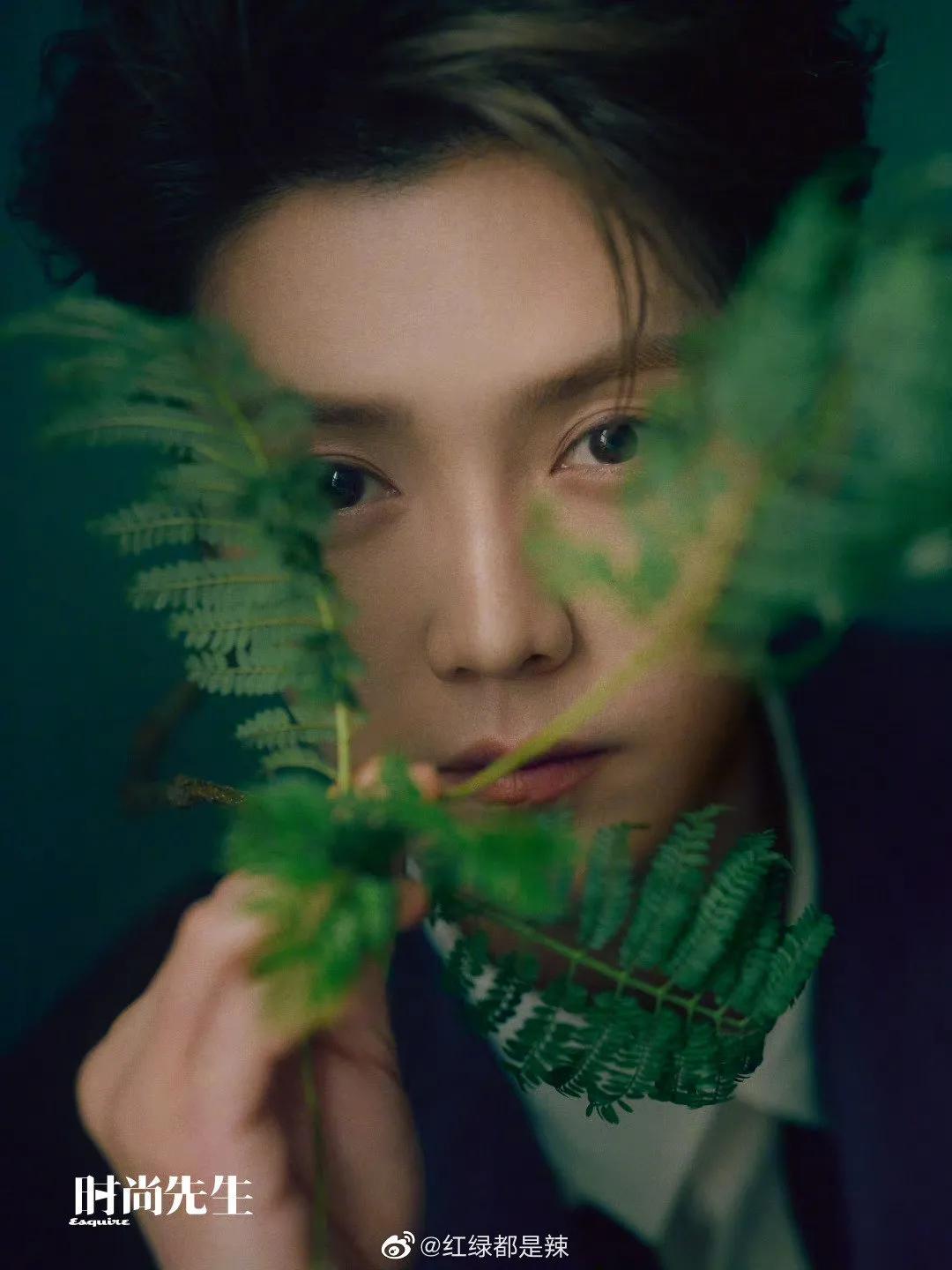 The male star magazine pictures are here, let's look at the handsome ...