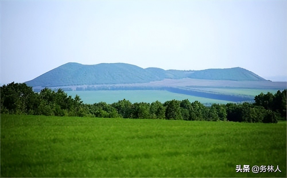 China's Forest Resources - iNEWS