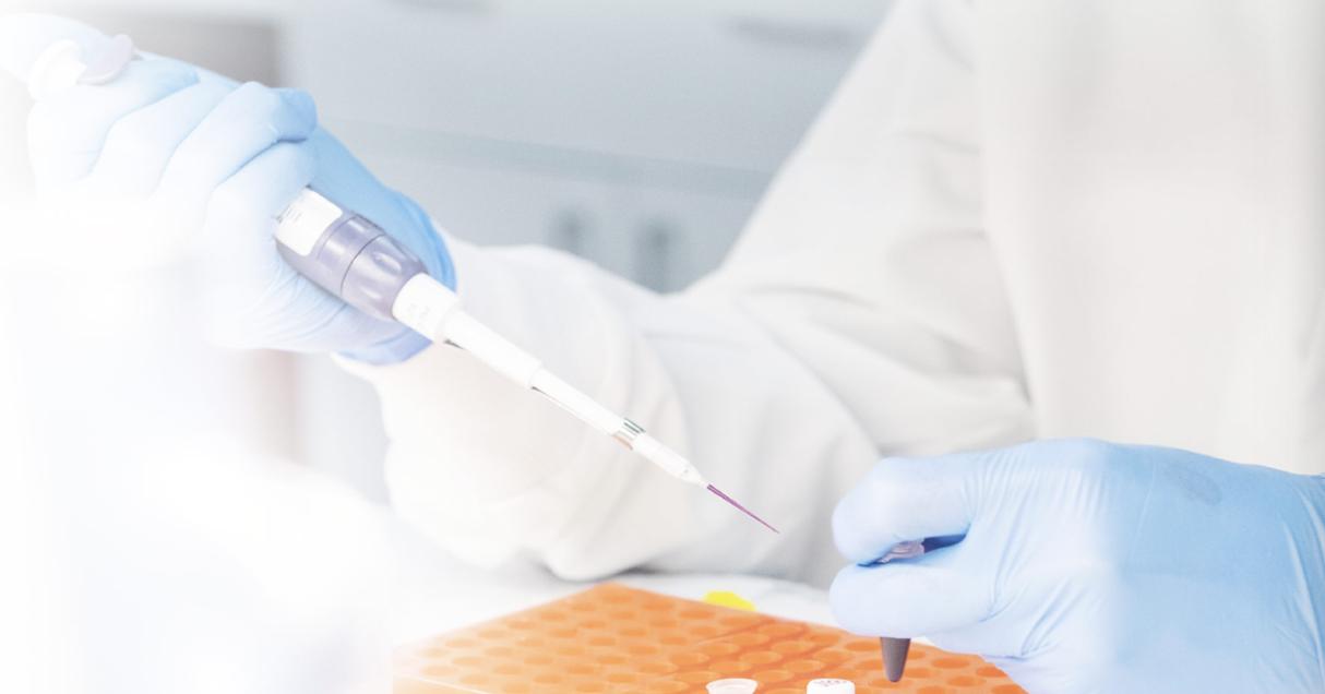 Hepatitis B Drug Discovery, Novel Orally Bioavailable Small Molecule ...