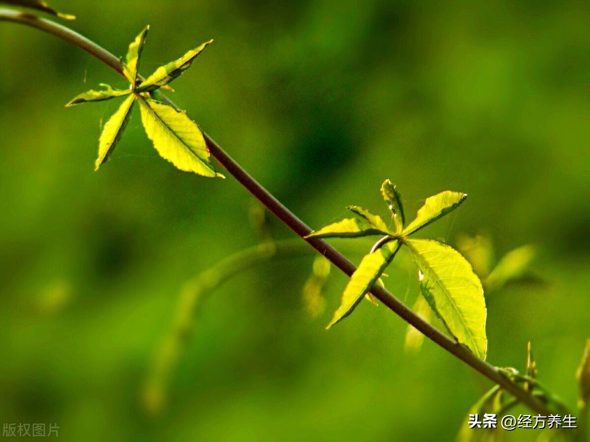 How does the wind come out of the body? - iNEWS