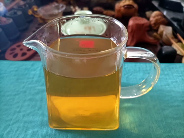 Tasting Nannuo Mountain Ancient Tree Tea - iNEWS