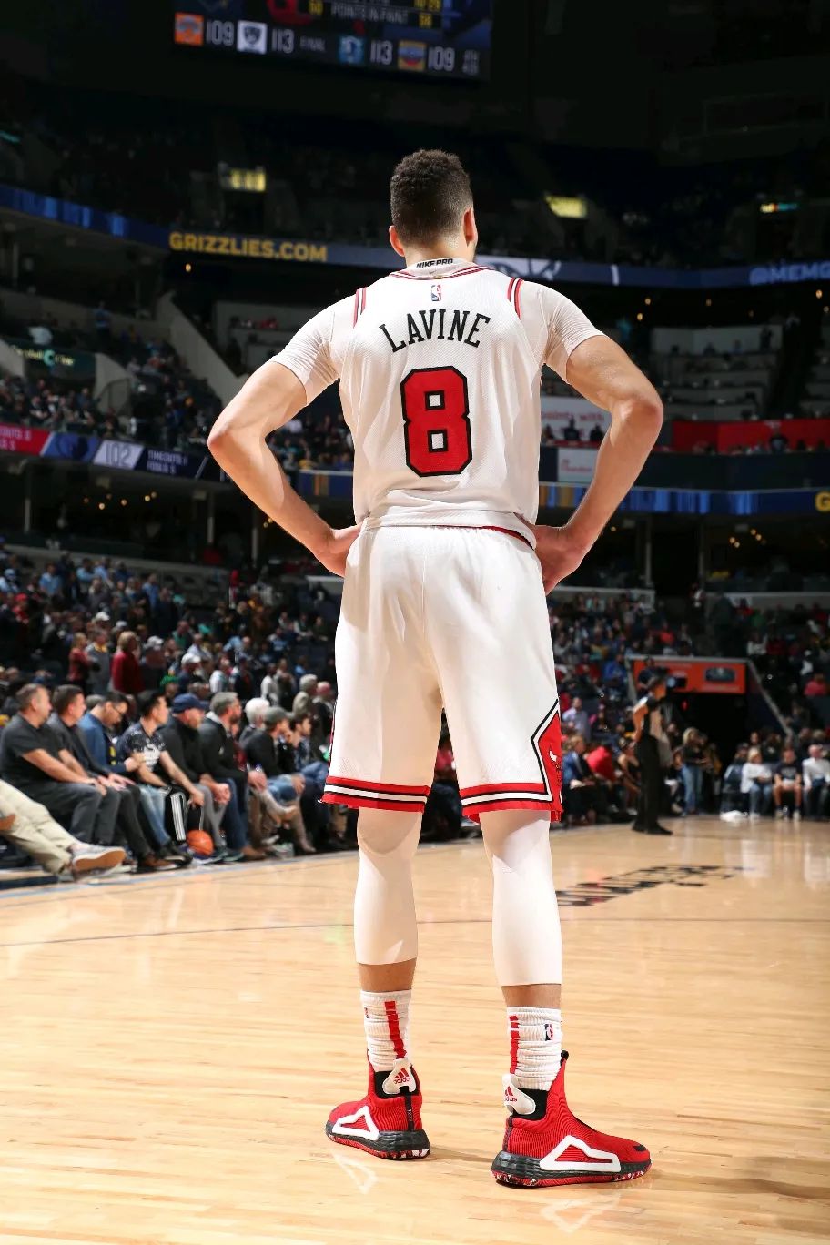 30 Handsome Photos of Zach LaVine - iMedia