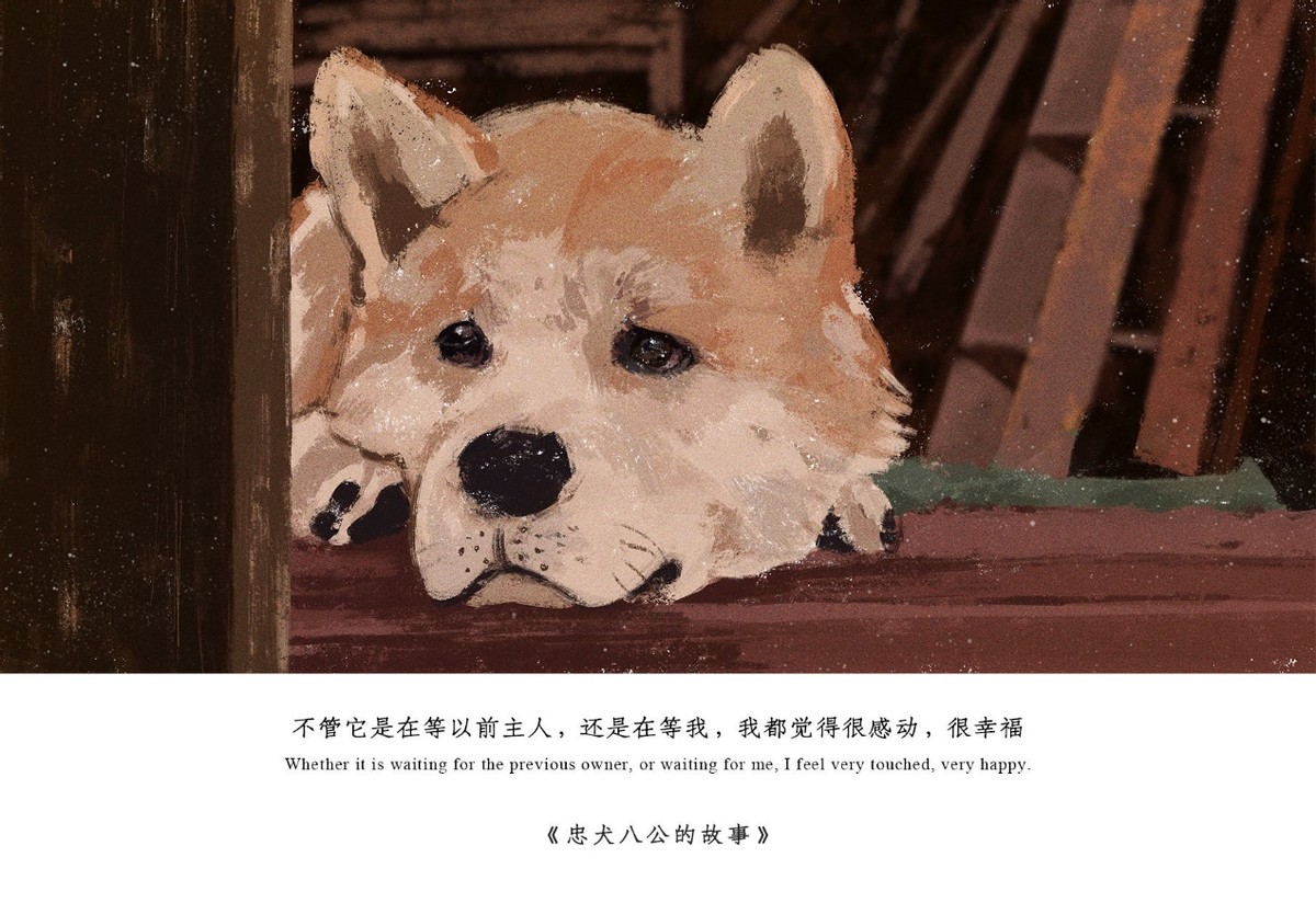 Douban scored 9.4, a true story that happened in Japan, a puppy became ...