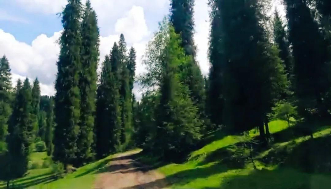 Xinjiang self-driving 48-day itinerary, scenic spots and accommodation ...