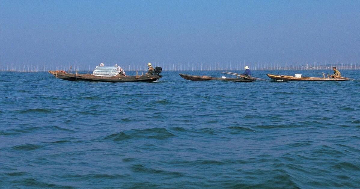 Liangzi Lake: "Yangtze River Fish Reservoir" is rich in Wuchang fish ...