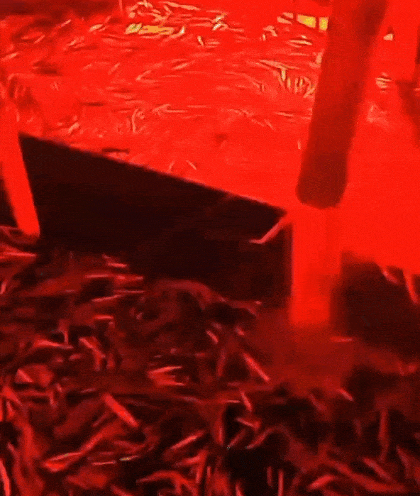 A water area in Guiyang turns blood red! The dark red smell in the ...