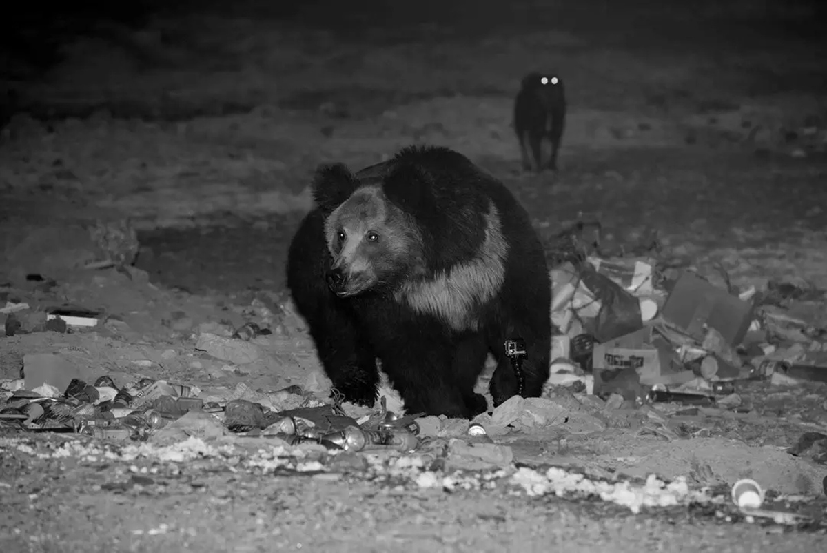 What is right and what is wrong? In some areas, the conflicts between ...