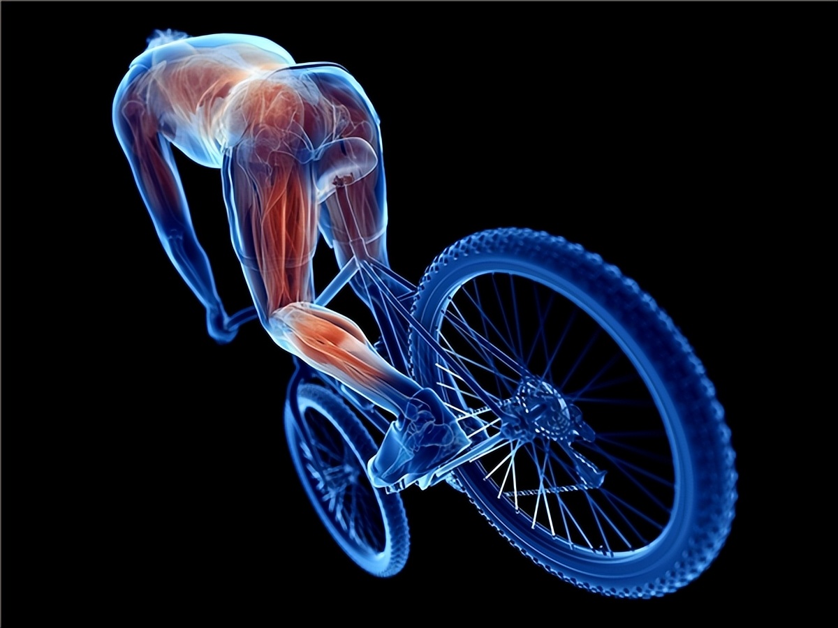 Heard of cycling to train the muscles of the whole body? - iNEWS