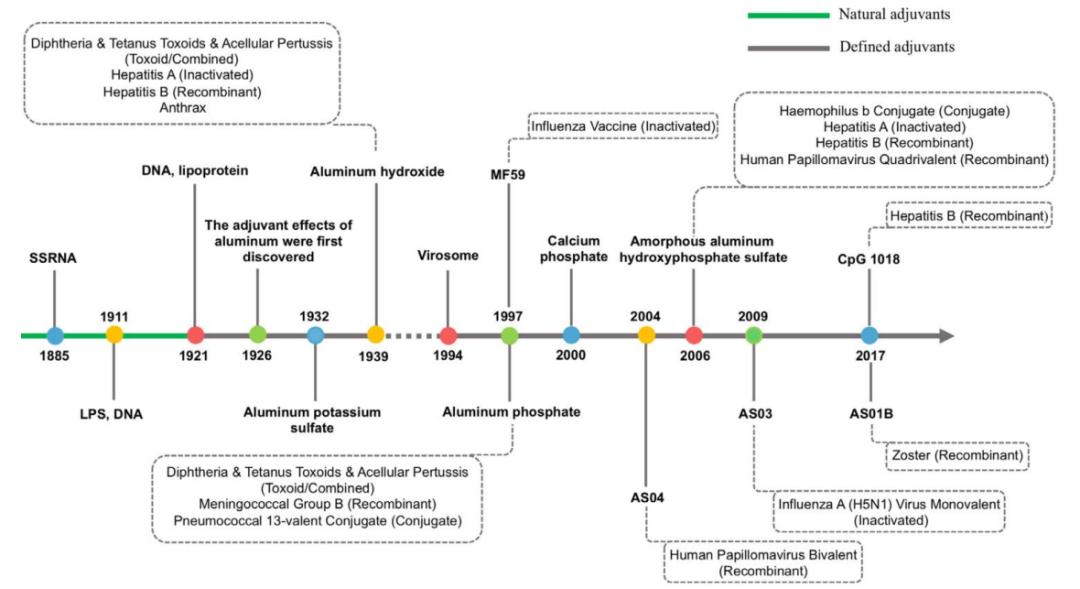 Research progress and new concepts of vaccine adjuvants - iNEWS