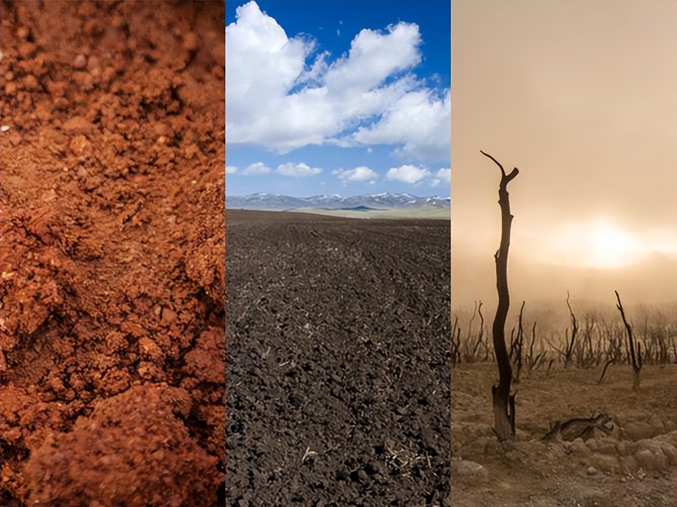 There is actually edible soil, and it comes in different flavors. What ...