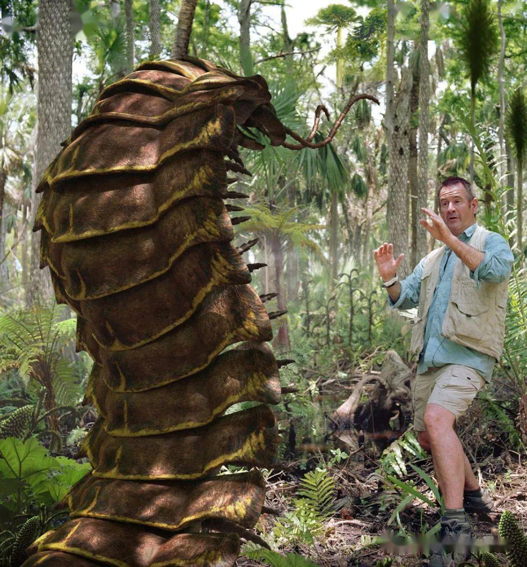 The 8 deadliest animals in the world, the terrifying degree of the ...