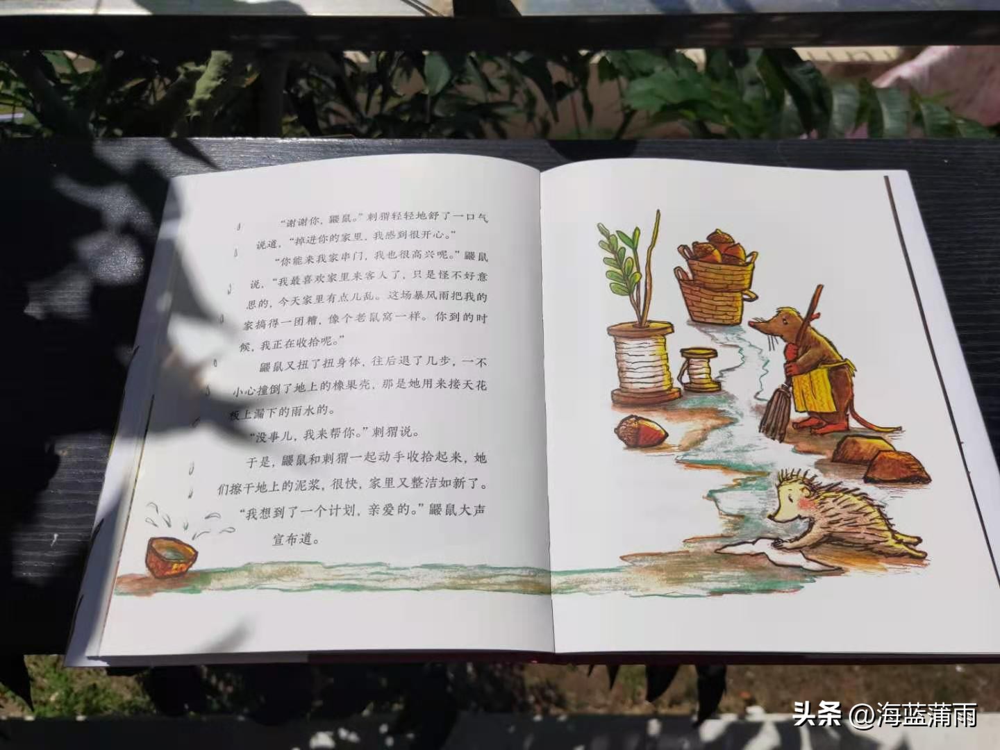 The Hedgehog's New Friend: Courage, Bravery, and Mutual Help to Meet ...