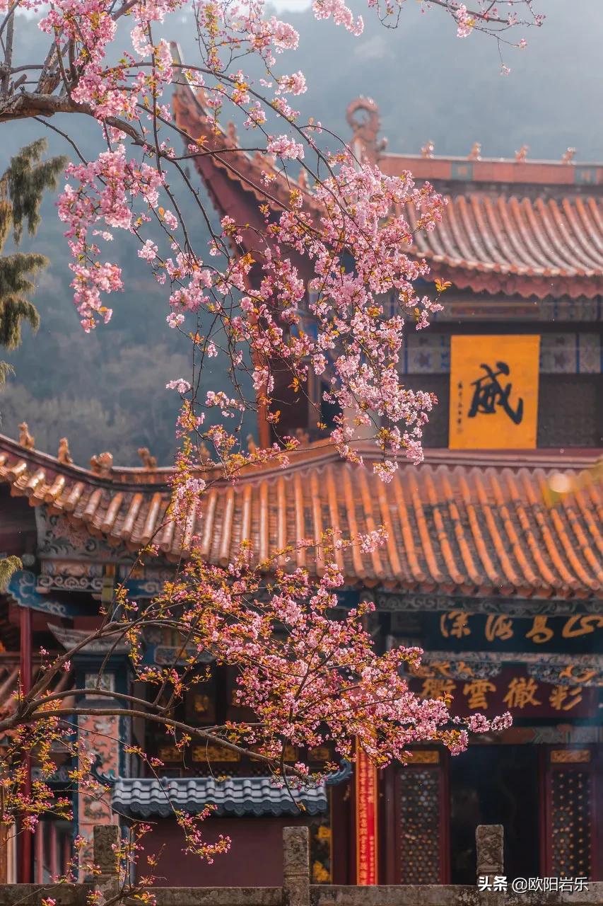 Kunming is "Spring City", but not only "Spring City" - iNEWS