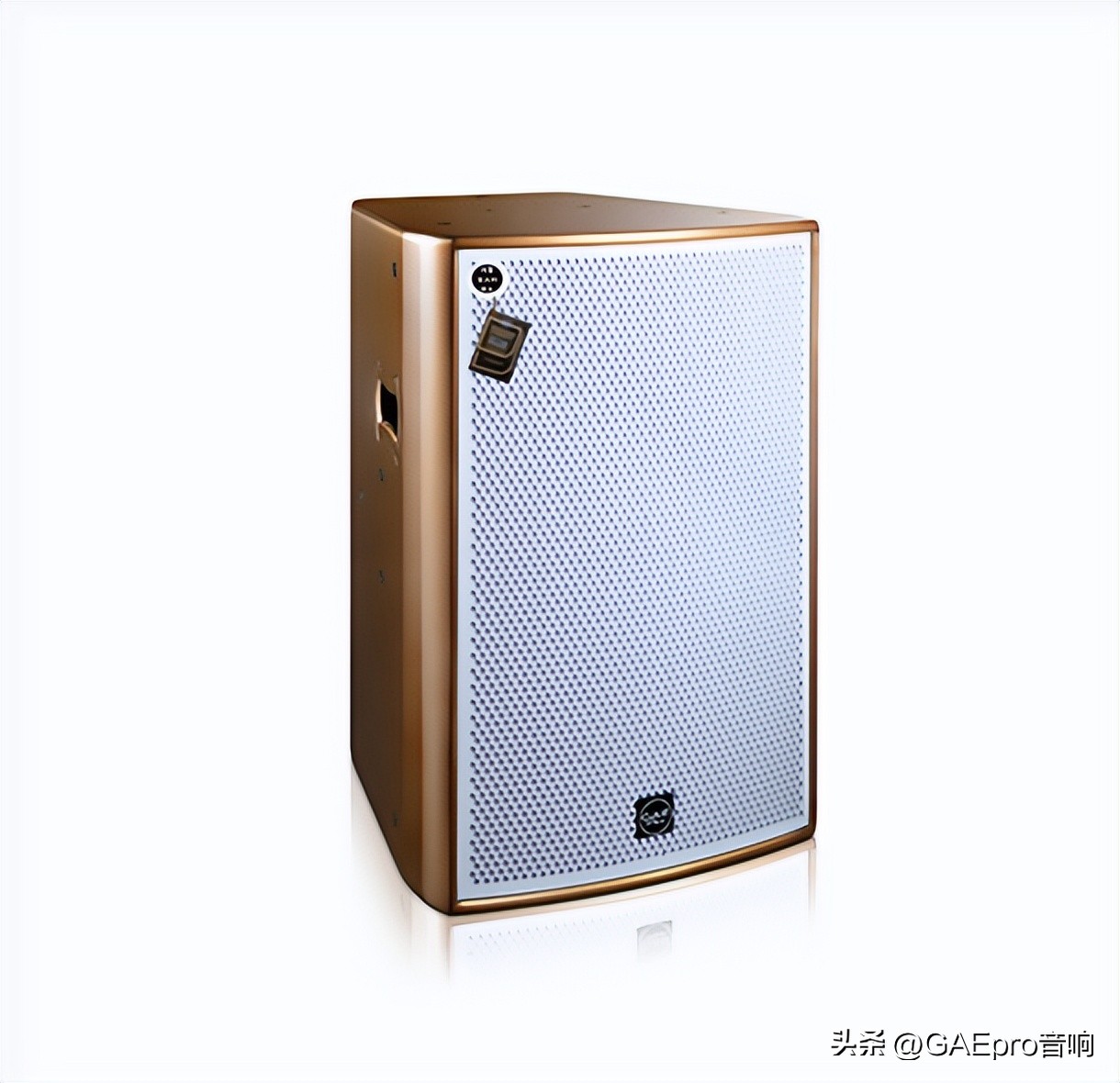 GAEpro audio: how to debug the TN-12 speaker in the banquet hall in the ...