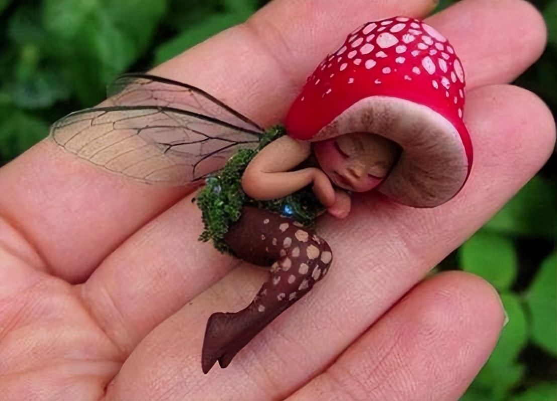 "Red Willow Baby" appeared many times in Xinjiang Tianshan? He is less ...