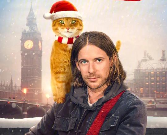 The Meaning of Life: Luke Treadaway as Redeemed Man in 'Bob the Stray ...