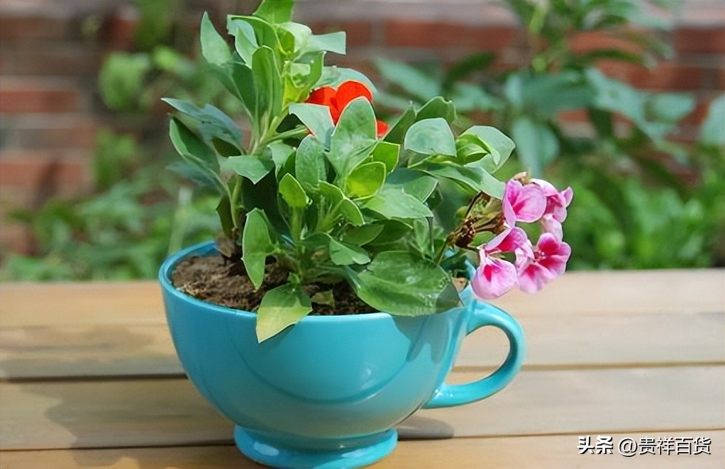 The choice of pot size and depth when growing flowers teaches you to ...