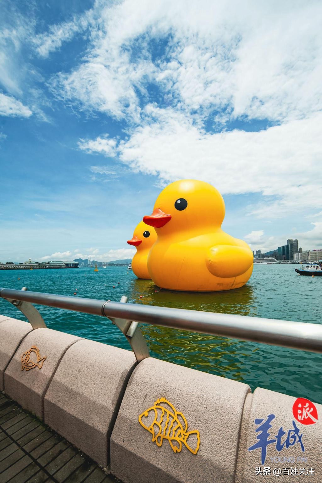 "Big Yellow Duck" revisited Hong Kong after 10 years! It also brings ...