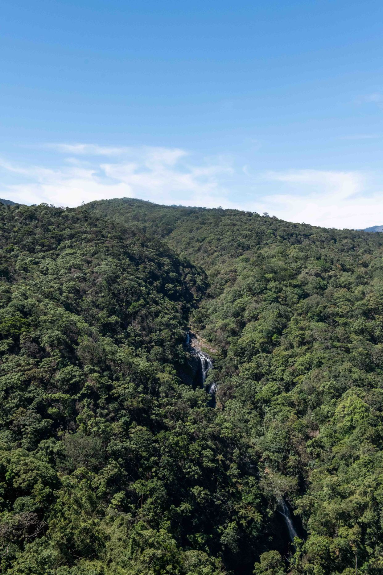 The world's most famous alpine train, like the scene in Hayao Miyazaki ...