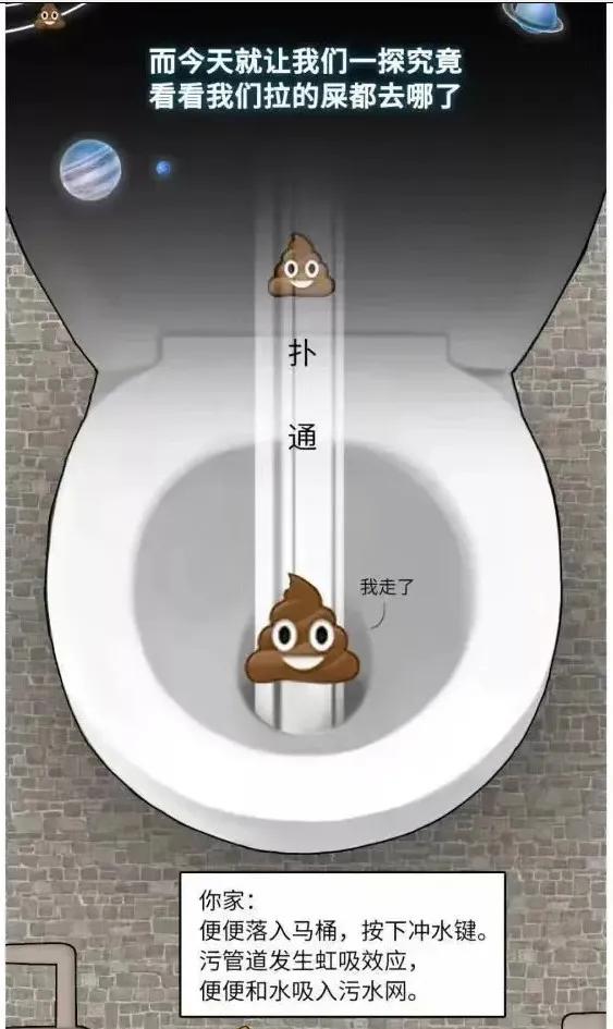 What does our poop taste like?Where did it go from here? - iNEWS