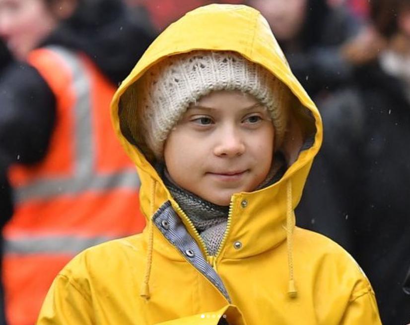 Swedish environmental girl on the program criticized Germany for ...