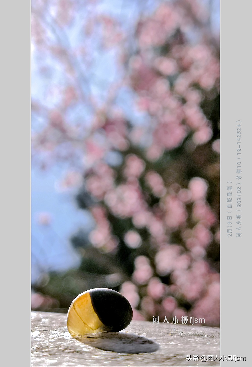 Talking about mobile phone photography (16) Backlight photography of ...