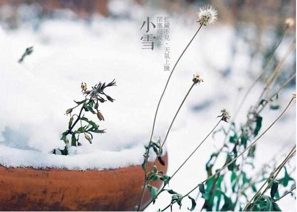 Learn the poems of Xiaoxue in the twenty-four solar terms - iNEWS