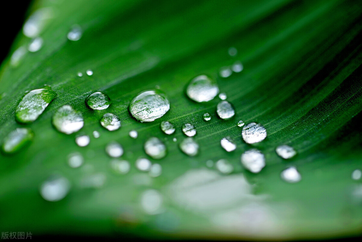 Early feminists disguised themselves as men and went to brothels. The ...