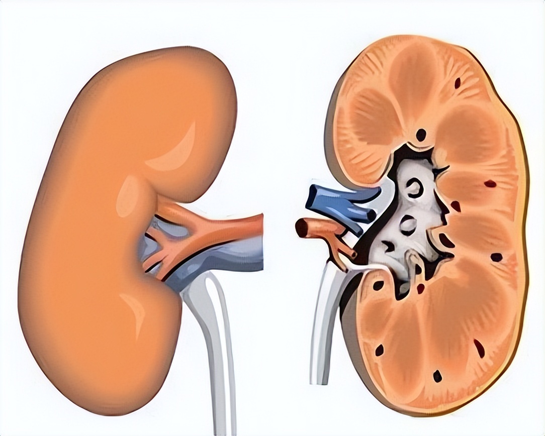 Insufficiency of kidney essence, people tend to get old, the ancient ...