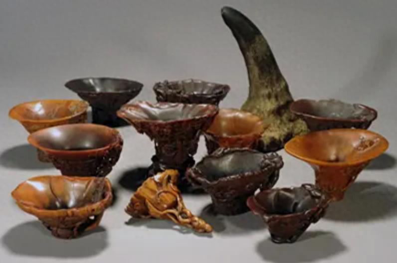 Why do people regard rhino horn as a magical medicine? Explore - iNEWS