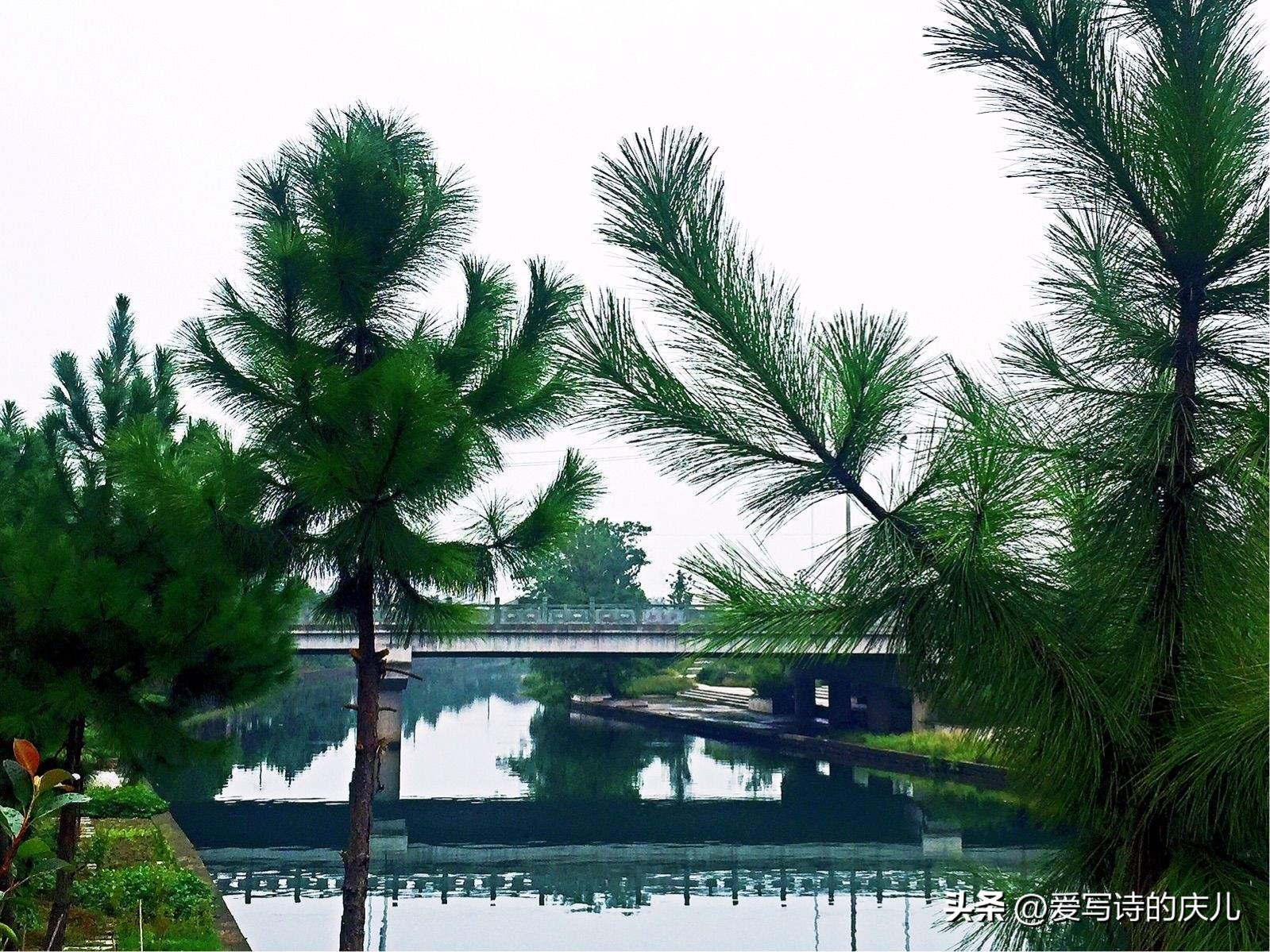 Qinger Poetry~The river is too long, the flowing water is too short, my ...