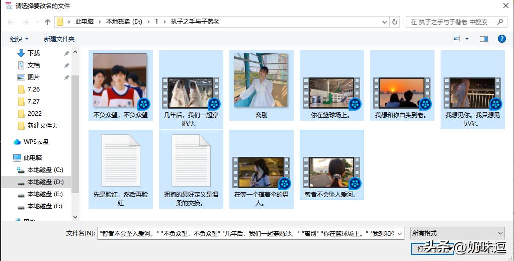 File management software: multiple naming methods and file type support ...