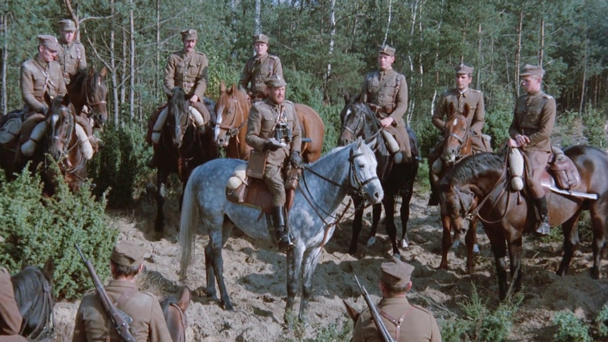 Did Poland give up resistance after it was partitioned during World War ...
