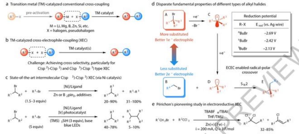 Chinese scientists use electrochemistry to drive halogenated ...