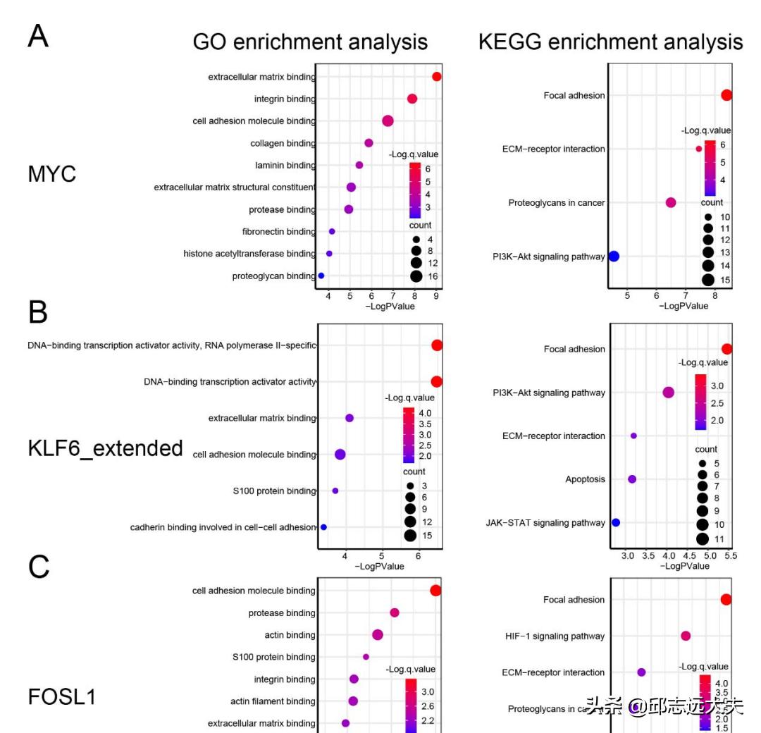 The strong return of ferroptosis combined with single-cell RNA-seq and ...