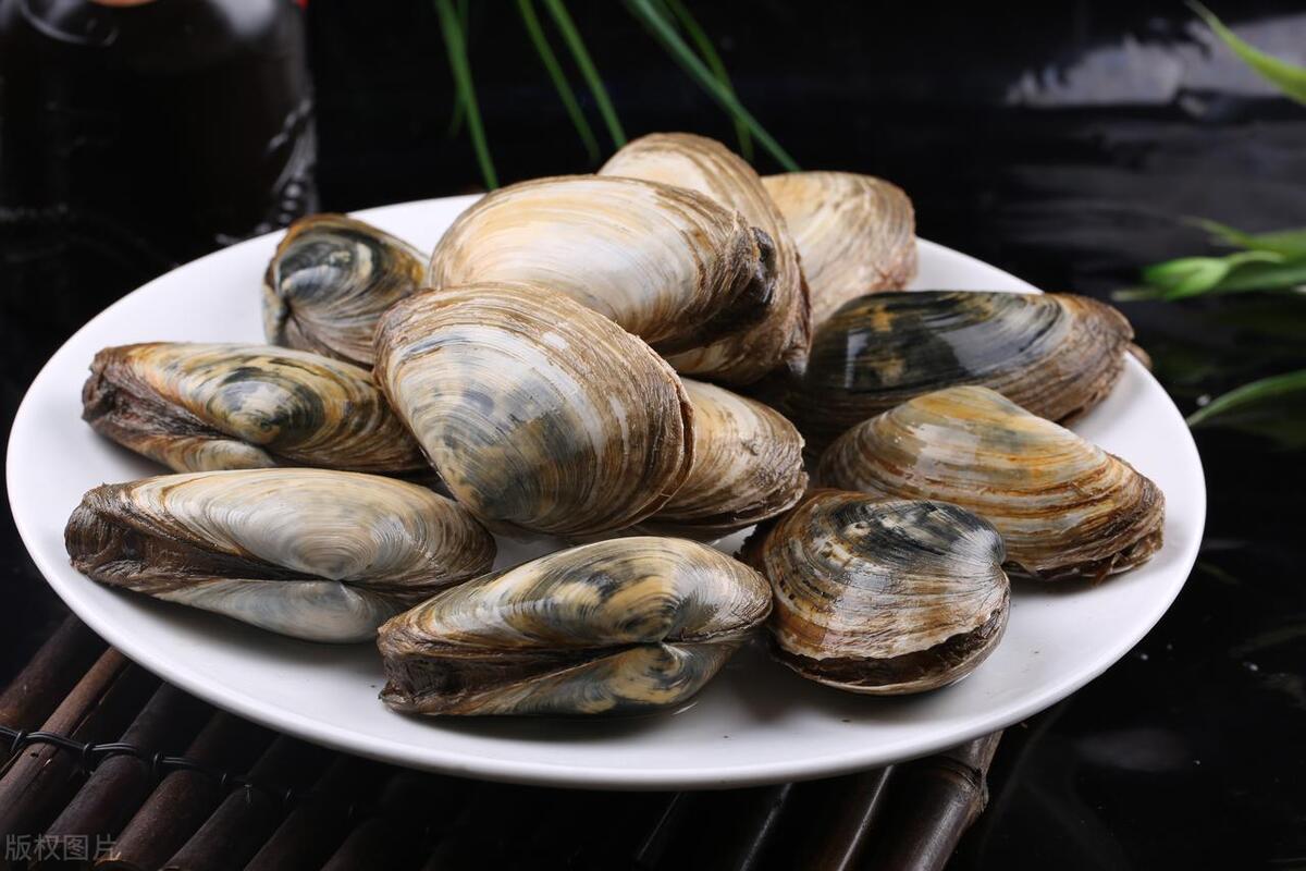 Teach you the secret recipe of clam pot. It is simple and easy to learn ...