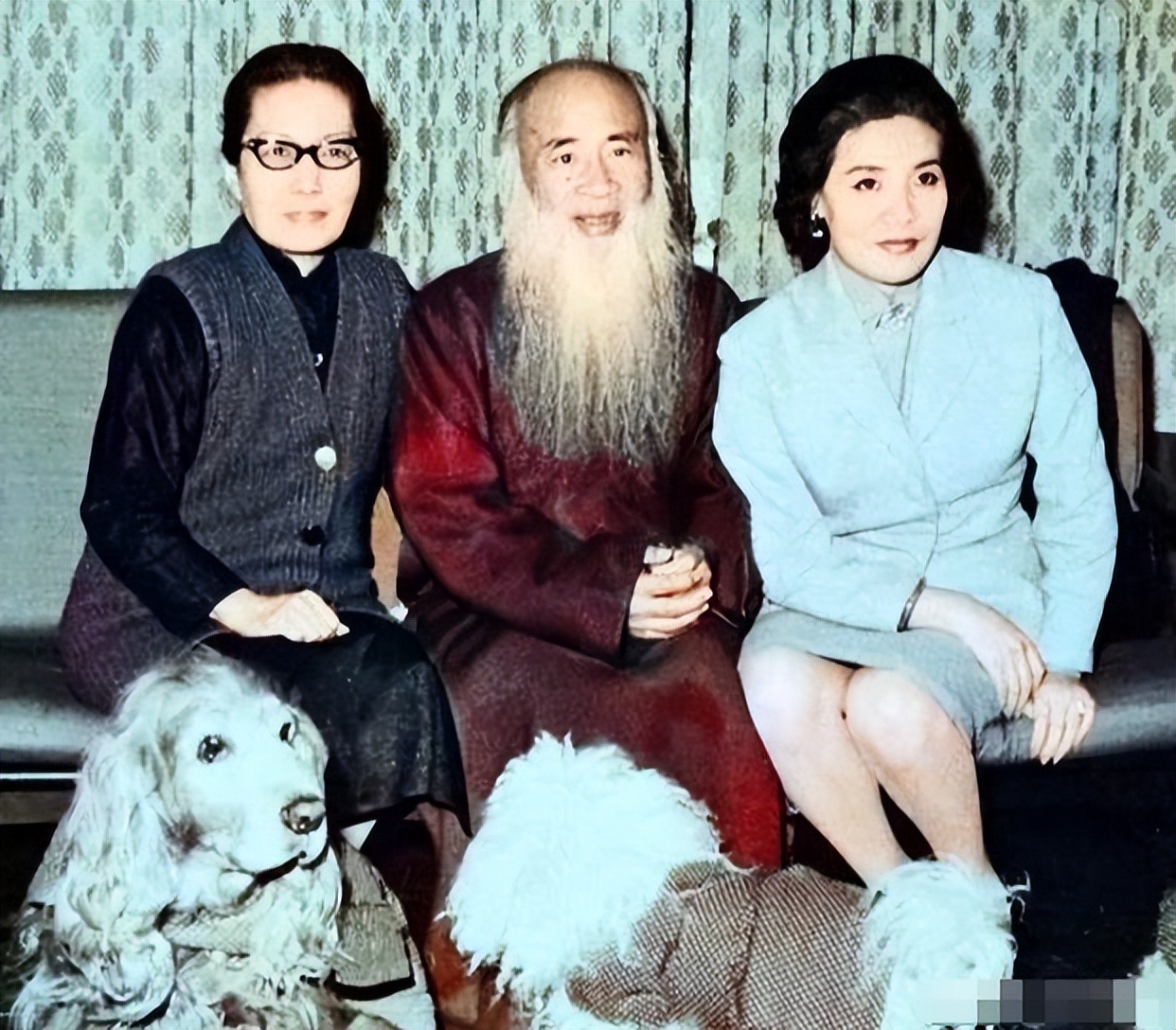"Female Jackie Chan" Yang Panpan: She gave birth before marriage, was ...
