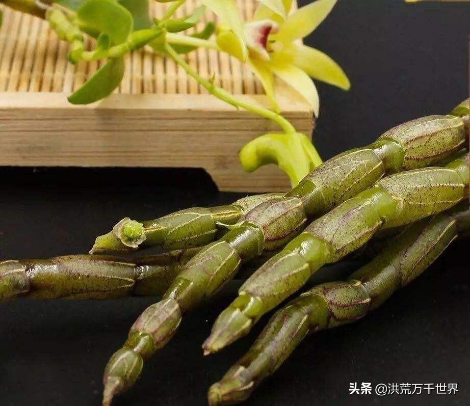 Dendrobium candidum, the first of the nine Chinese fairy grasses - iNEWS