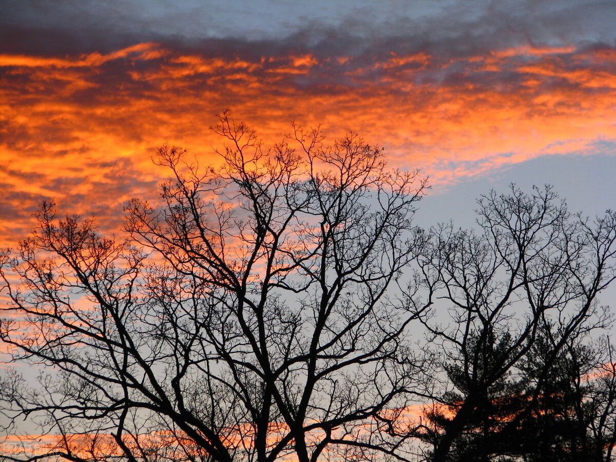 This classic name of "removing fire" can solve the problem of male privacy, and the effect of ...