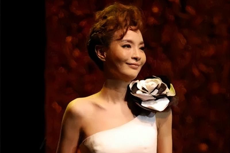 Liang Lu, a famous CCTV host, was marginalized due to plastic surgery ...