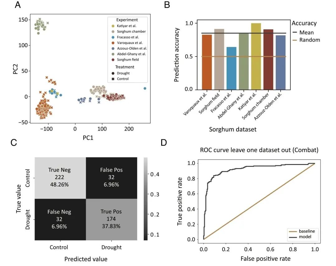 Cross-species predictive models reveal drought-response pathways in maize and sorghum - iNEWS