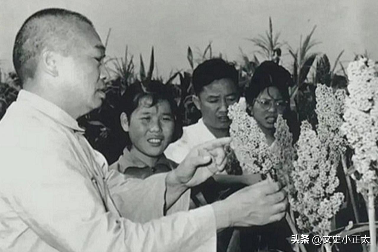 Peng Gang, the niece of Peng Dehuai, recalled: the ten years of living ...