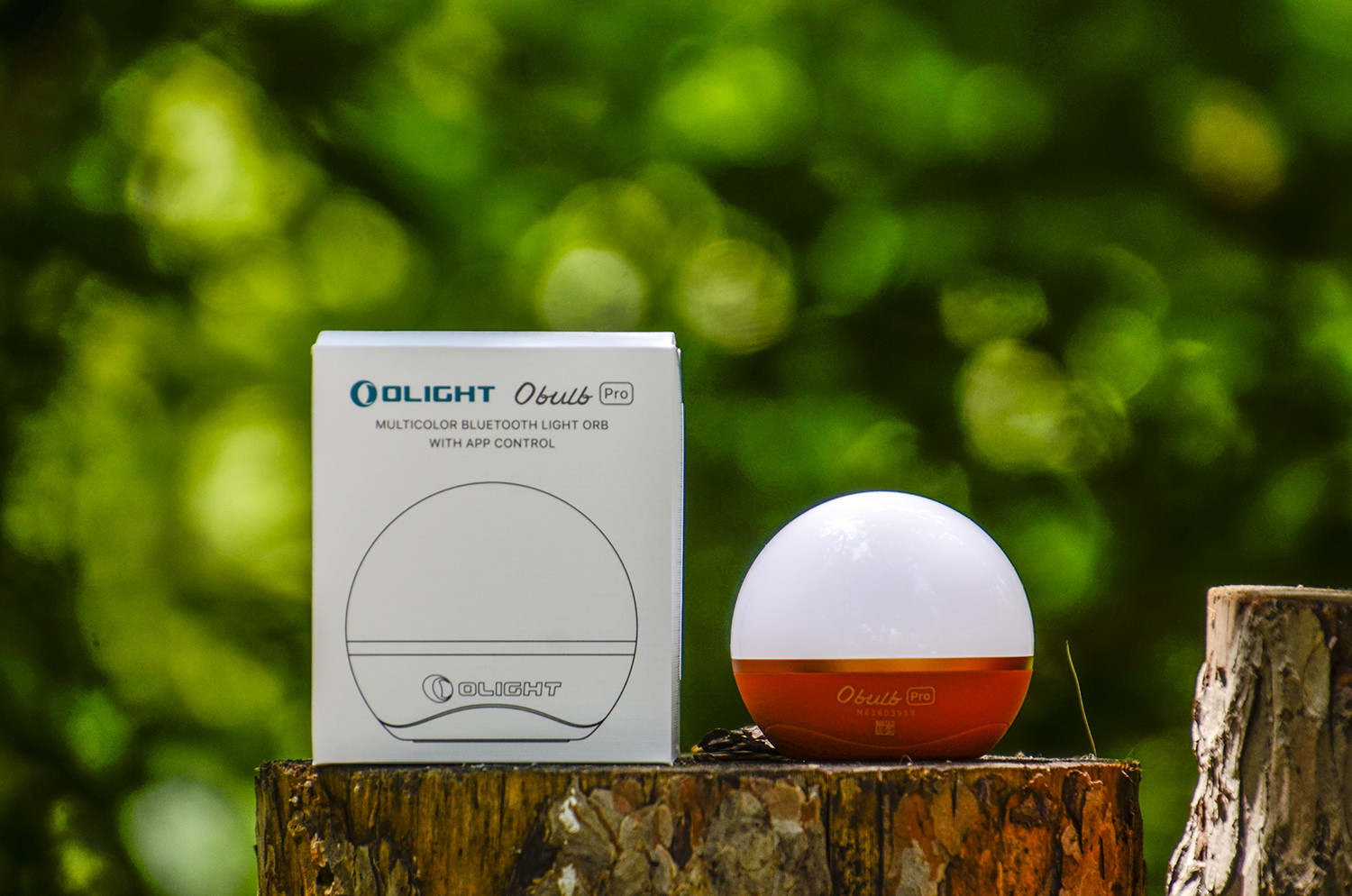 Better understand your light and color, wonderful little star: Ao Lei ...