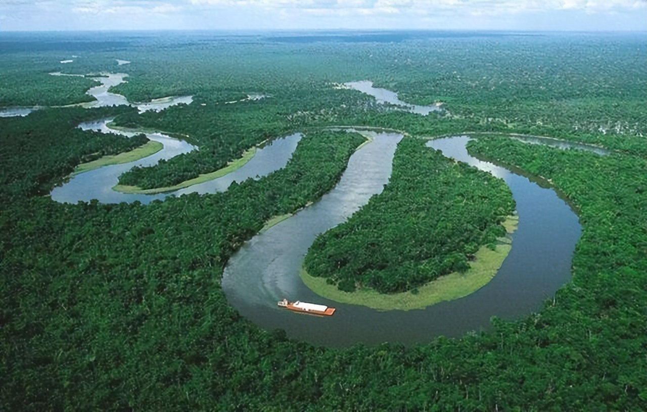 Why do so few people dare to go deep into the Amazon rainforest, known ...